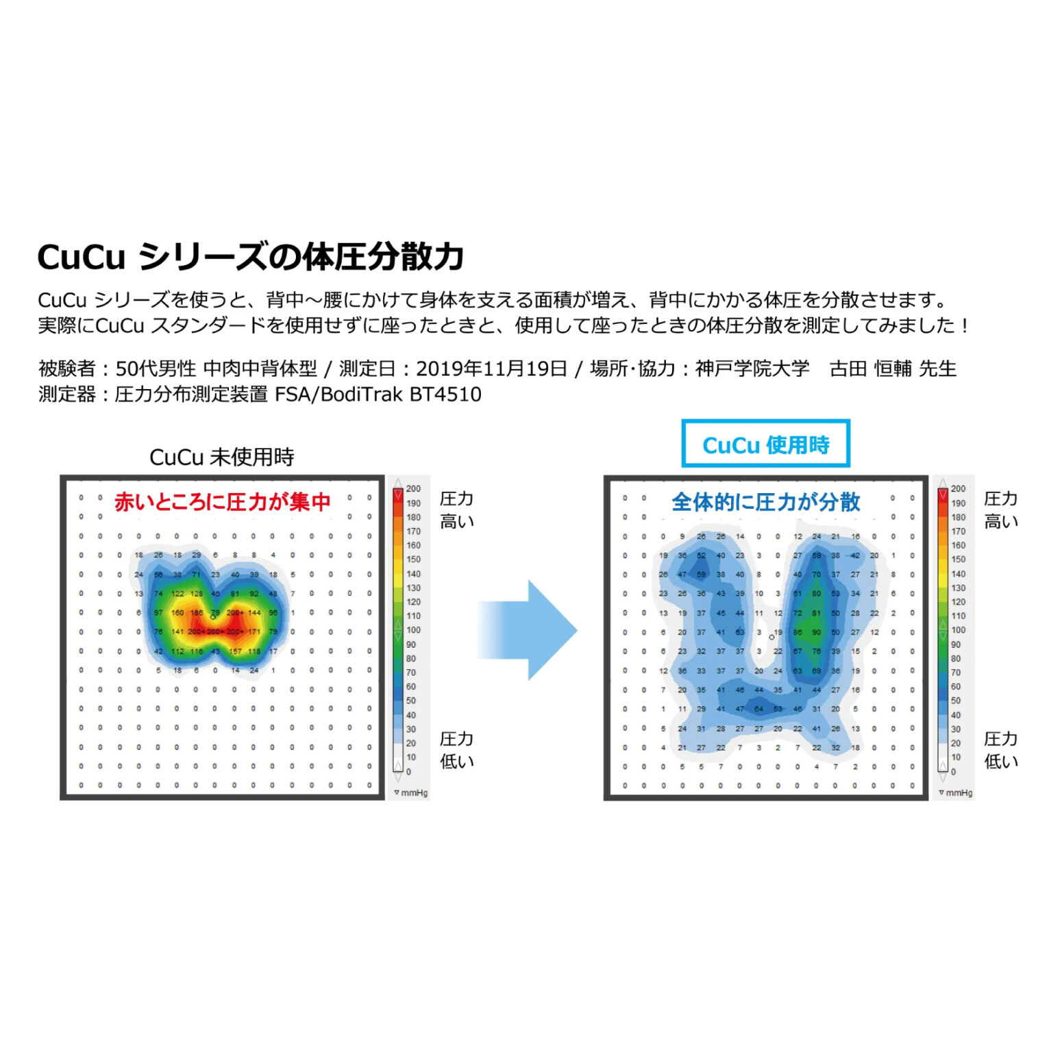 CuCuロイヤル | Cubeads公式ストア